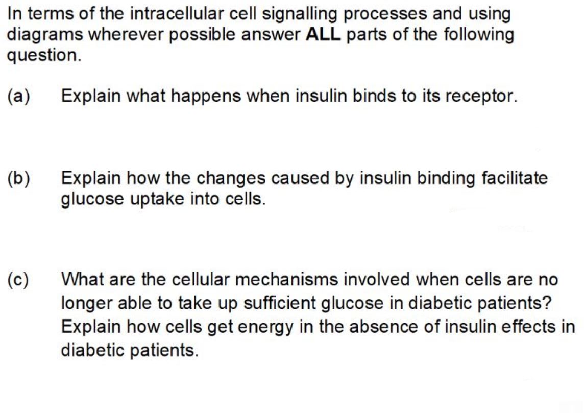 Solved In terms of the intracellular cell signalling | Chegg.com