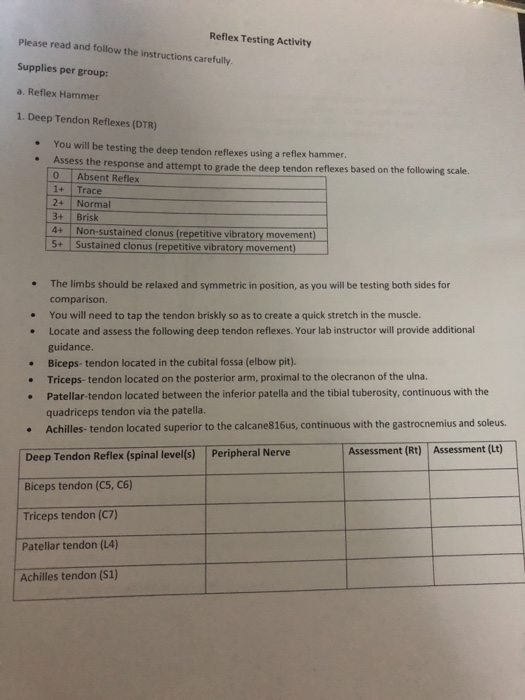 Solved Reflex Testing Activity Please read and follow the | Chegg.com