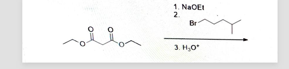 Solved 1. NaOEt 2. Br 3. H20* | Chegg.com