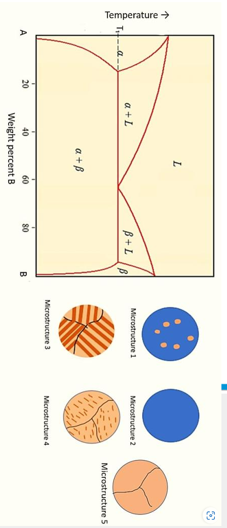 Solved A binary phase diagram of an A-B alloy is shown. For | Chegg.com