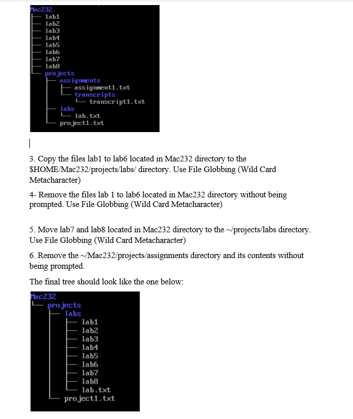 Solved 1. Create a directory in the root user home directory | Chegg.com