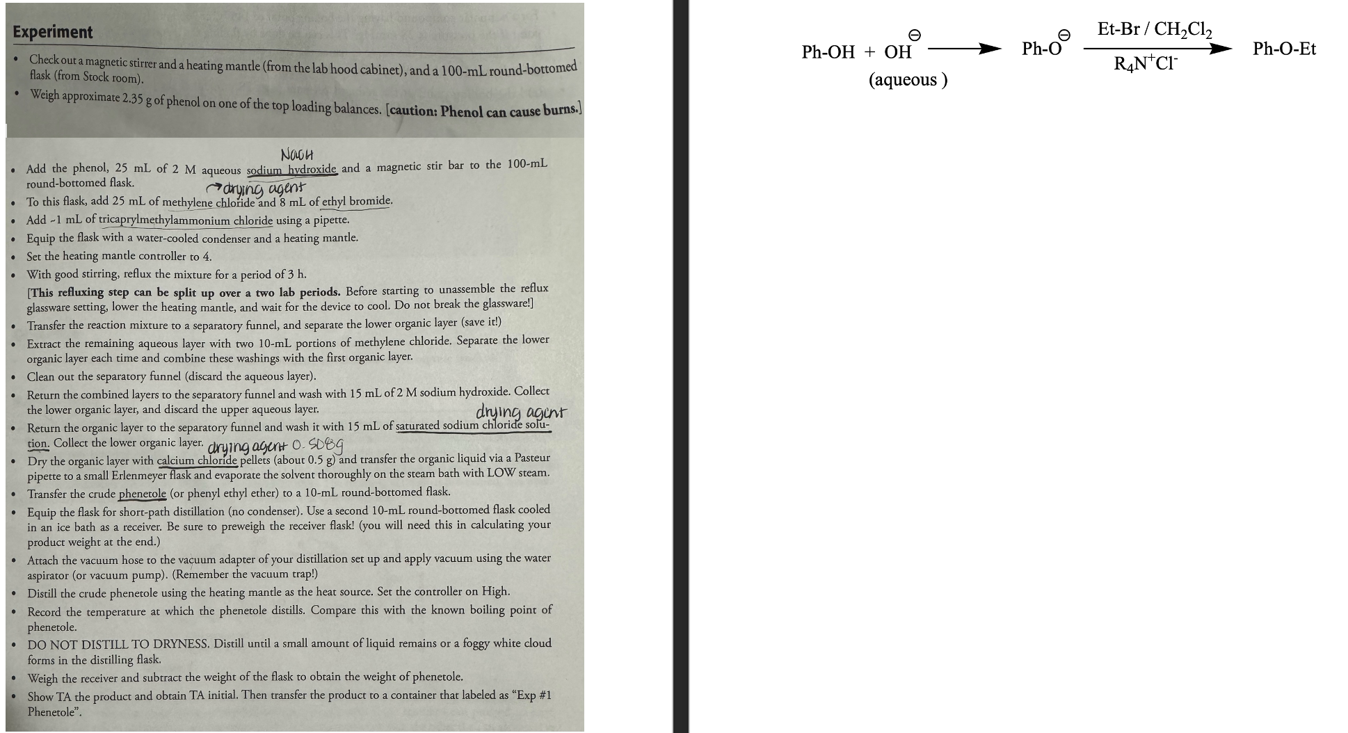 Solved Draw out the main reaction (using the | Chegg.com