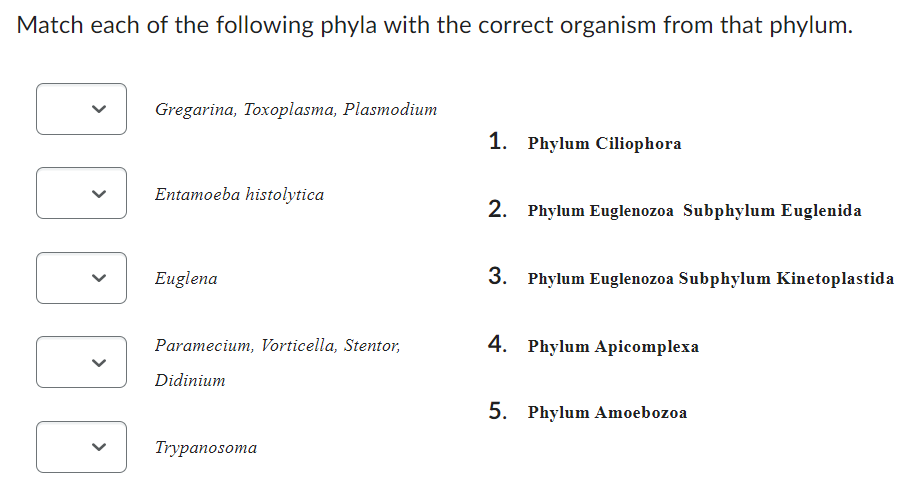 Solved Match each of the following phyla with the correct | Chegg.com
