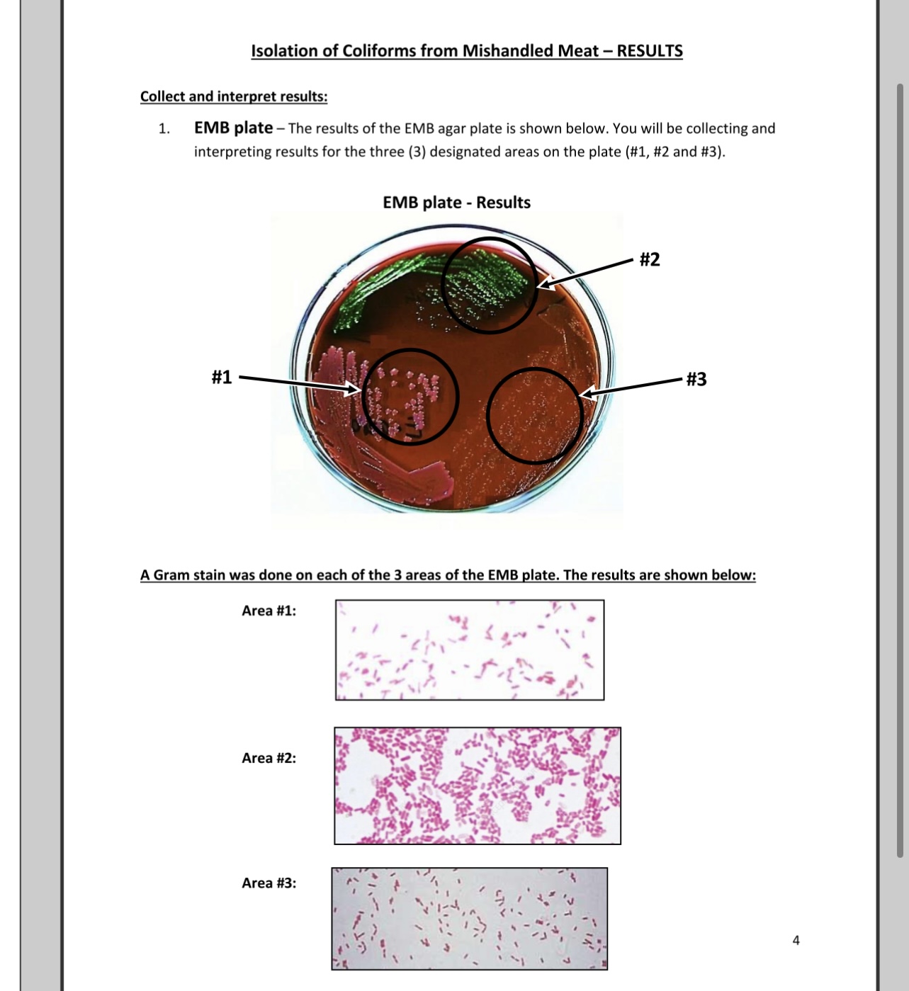 Use the information you recorded in Table 1 (EMB | Chegg.com