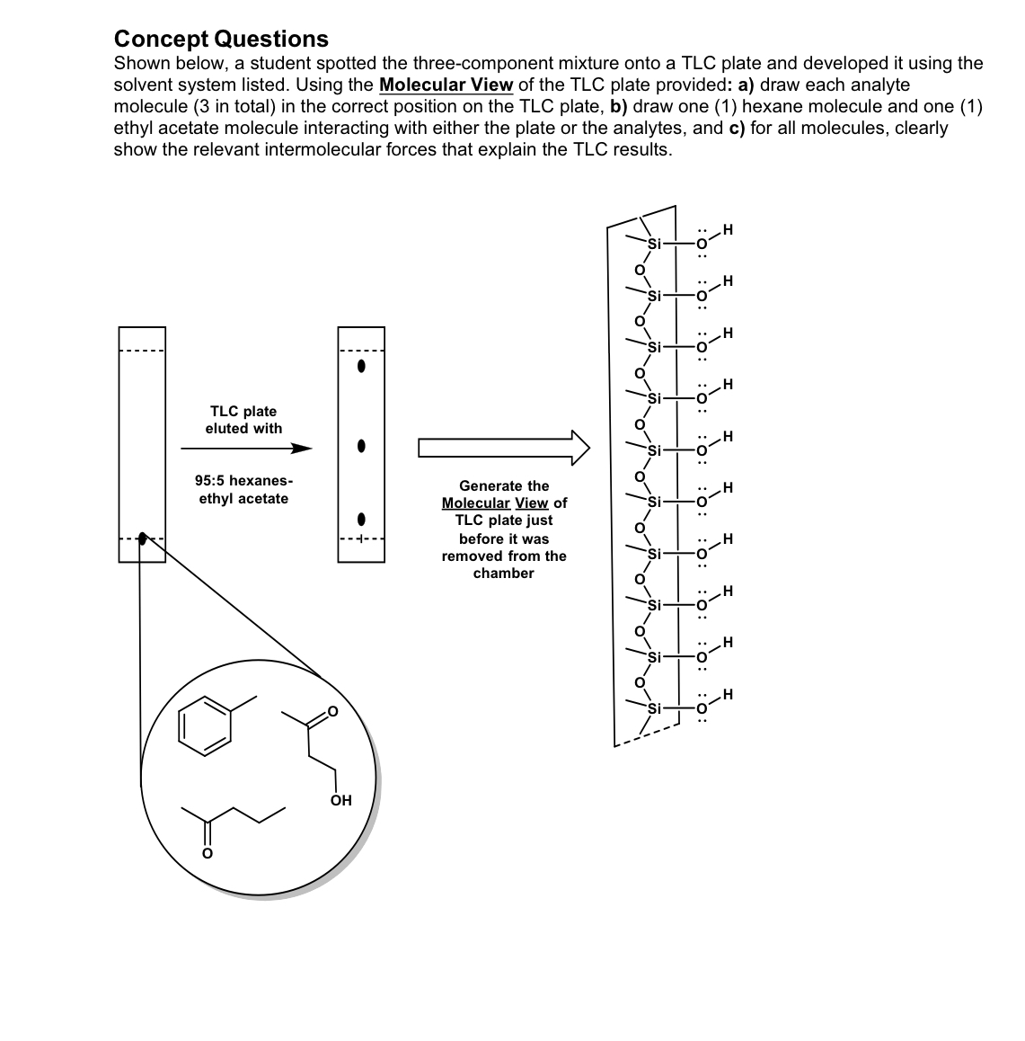 Solved Concept QuestionsShown below, a student spotted the | Chegg.com