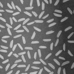 Solved Exercise 1: Write a MATLAB code that will do the | Chegg.com