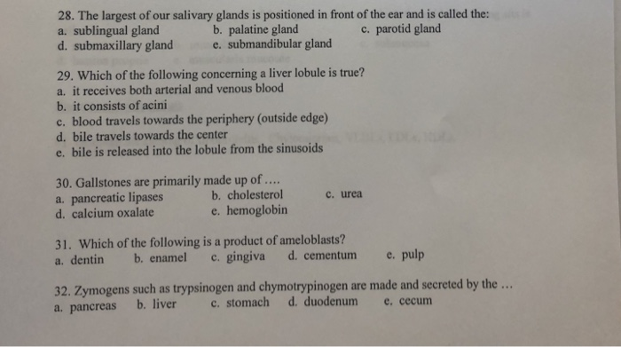 Solved 28. The largest of our salivary glands is positioned | Chegg.com