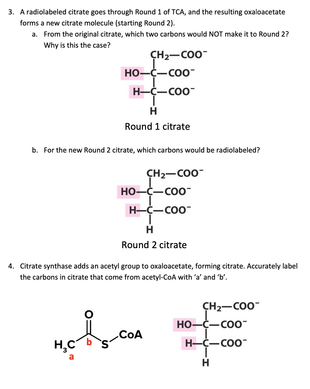 Solved 3. A radiolabeled citrate goes through Round 1 of | Chegg.com