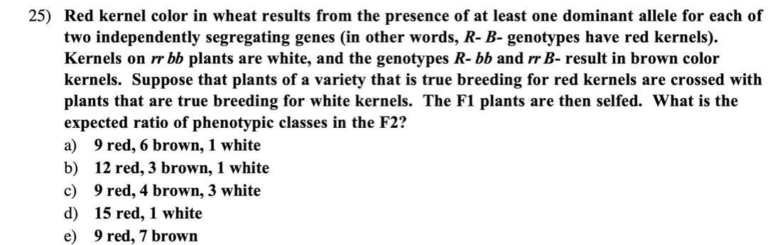 25) Red kernel color in wheat results from the | Chegg.com