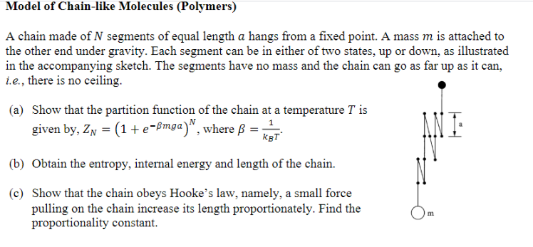 Solved Model of Chain-like Molecules (Polymers) A chain made | Chegg.com
