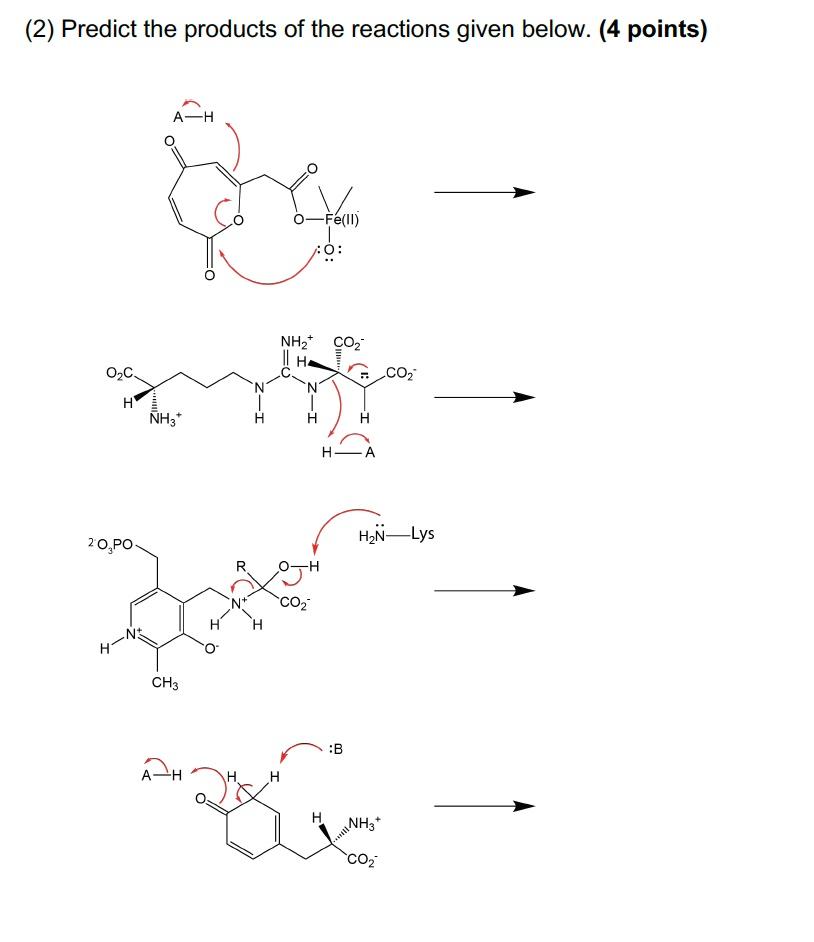 Solved (2) Predict the products of the reactions given | Chegg.com