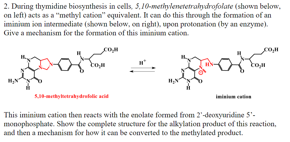 Solved 2. During thymidine biosynthesis in cells, | Chegg.com