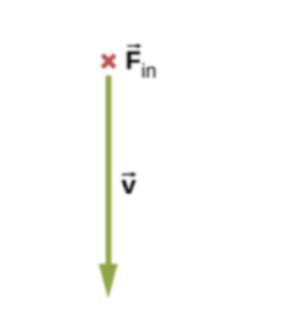 Solved 1 (a)Determine the direction of a negative charge's | Chegg.com