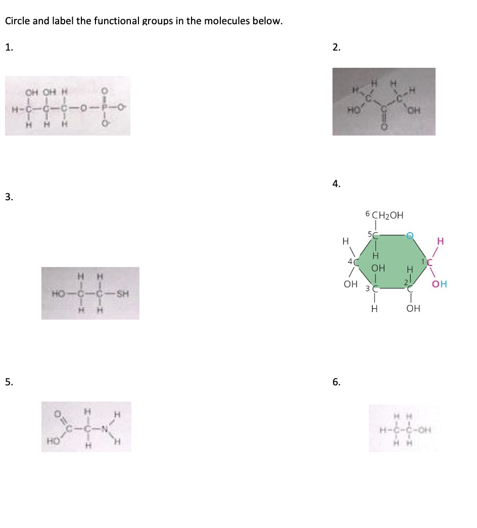 Solved Circle and label the functional groups in the | Chegg.com