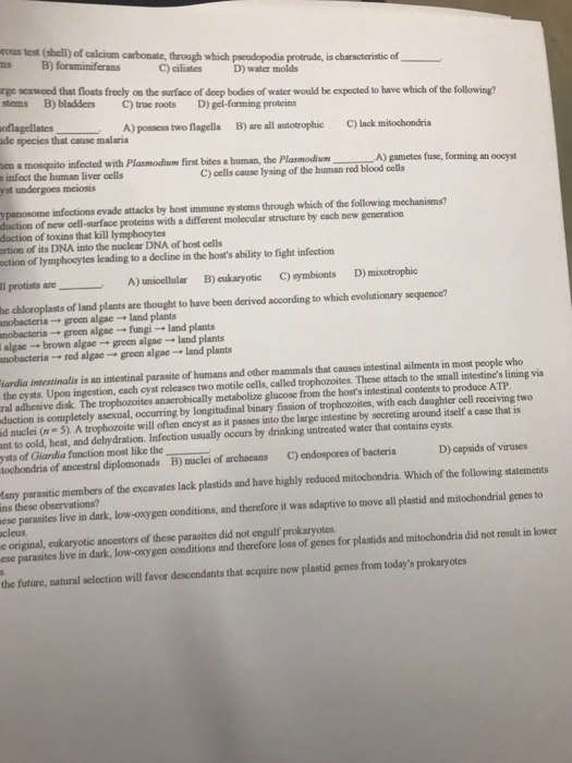 rous test (shell) of calcium carbonate, through which | Chegg.com