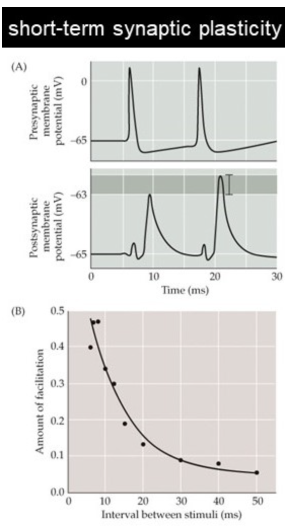 Solved Example of short term plasticity illustrated by what | Chegg.com
