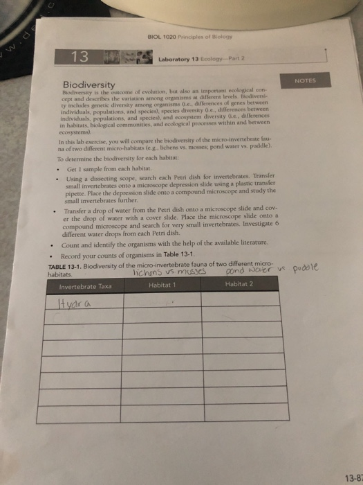 BIOL 1020 Principles of Biology 13 Laboratory 13 | Chegg.com