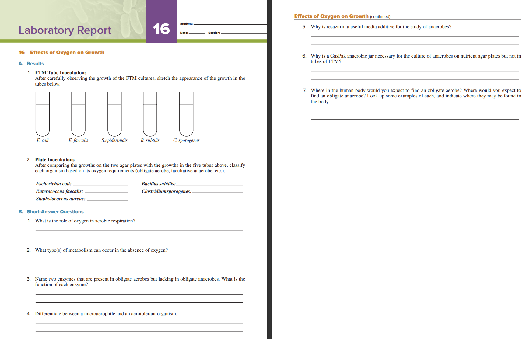 [Solved]: Laboratory Report 16 Student: (continued) 16 Effe