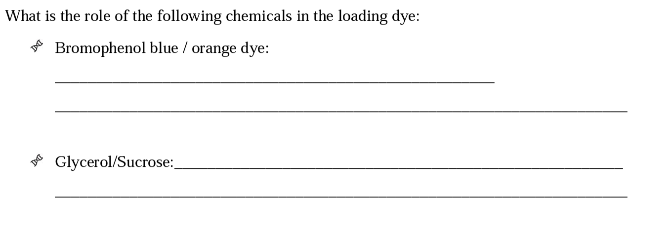 Solved What is the role of the following chemicals in the | Chegg.com