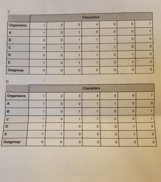 Solved Below are character tables for groups of five taxa | Chegg.com