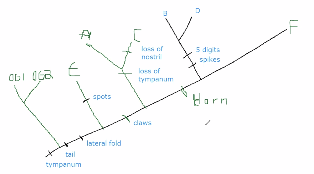 Solved a) What would be an example of a monophyletic | Chegg.com