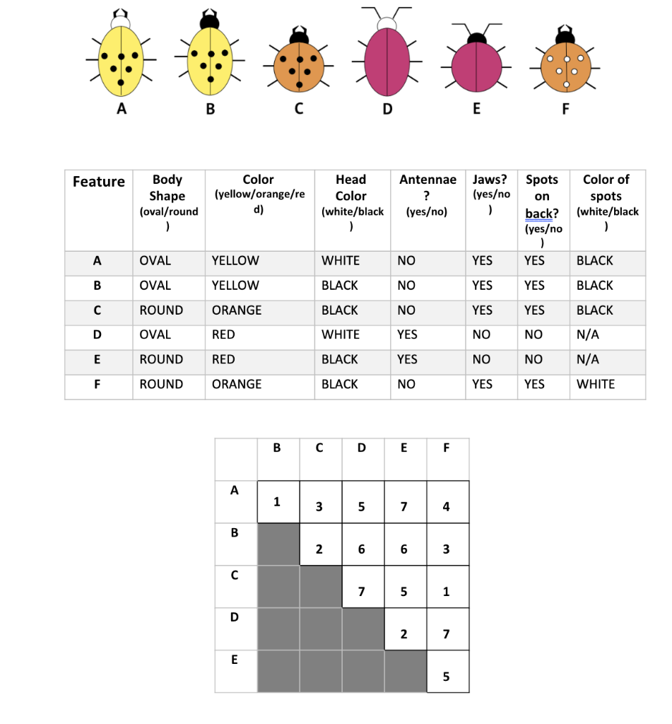 Solved Building a phylogenetic tree In this activity, you | Chegg.com