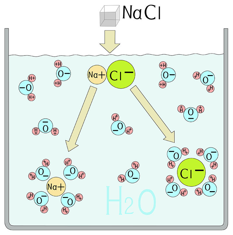 Solved All ionic compounds dissociate into their respective | Chegg.com