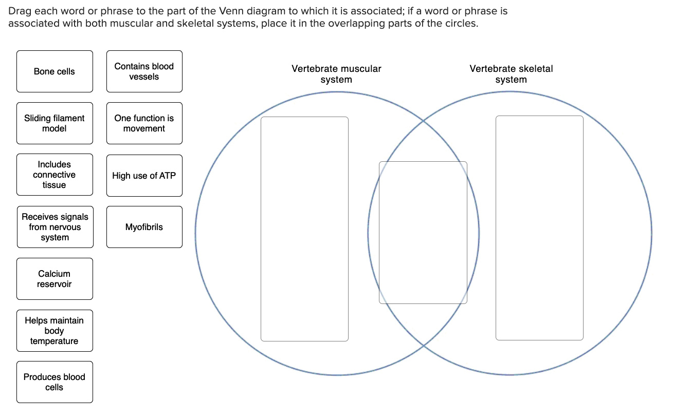 Solved Drag each word or phrase to the part of the Venn | Chegg.com