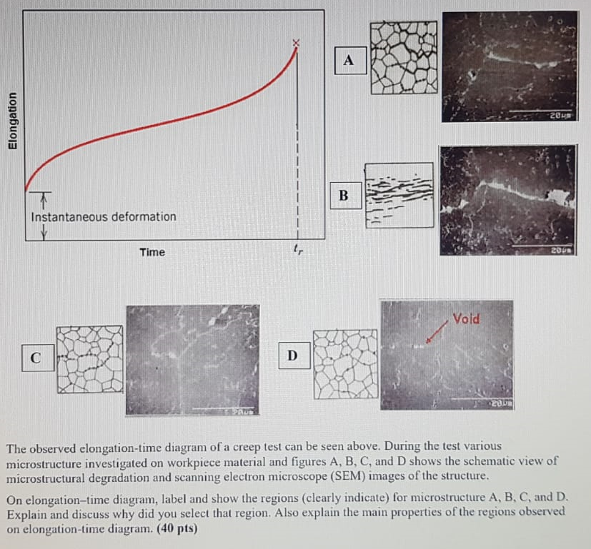 A 204 Elongation B Instantaneous deformation Time | Chegg.com