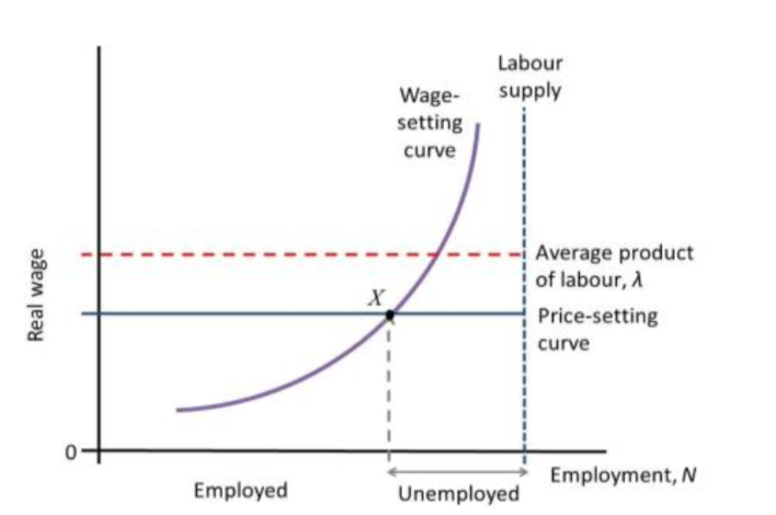 The figure depicts the labour market model. Ceteris | Chegg.com