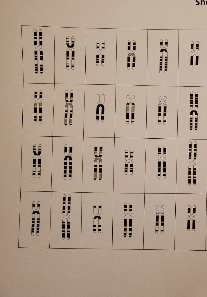 SITY IILID a SI SUID ID C шD ILID D IIIID EGID IL TID | Chegg.com