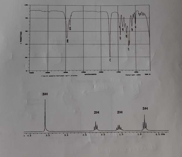 Solved Compound B has the molecular formula C5H10O2. Based | Chegg.com