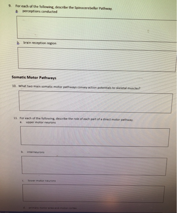 Solved 1. What are neural pathways? 2. What are the | Chegg.com