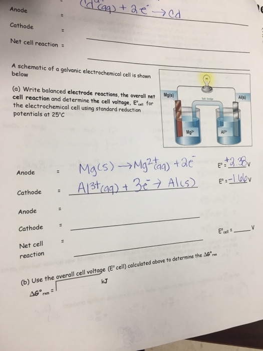 Solved Anode Cathode Net cell reaction = A schematic of a | Chegg.com