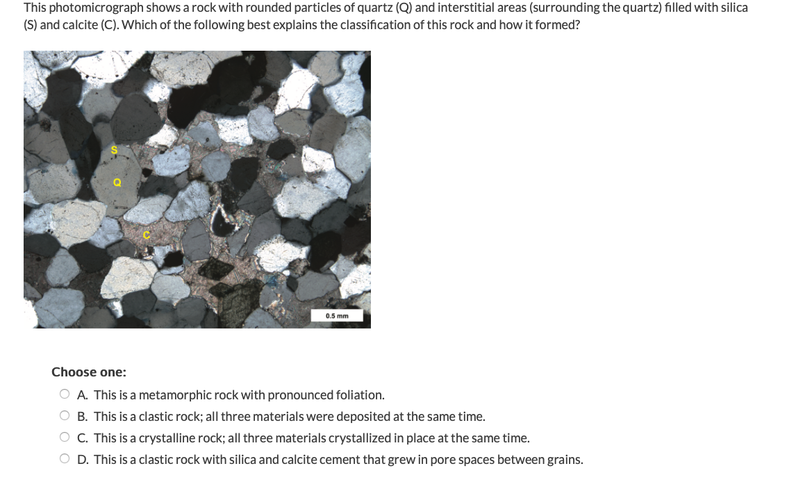 Solved This photomicrograph shows a rock with rounded | Chegg.com