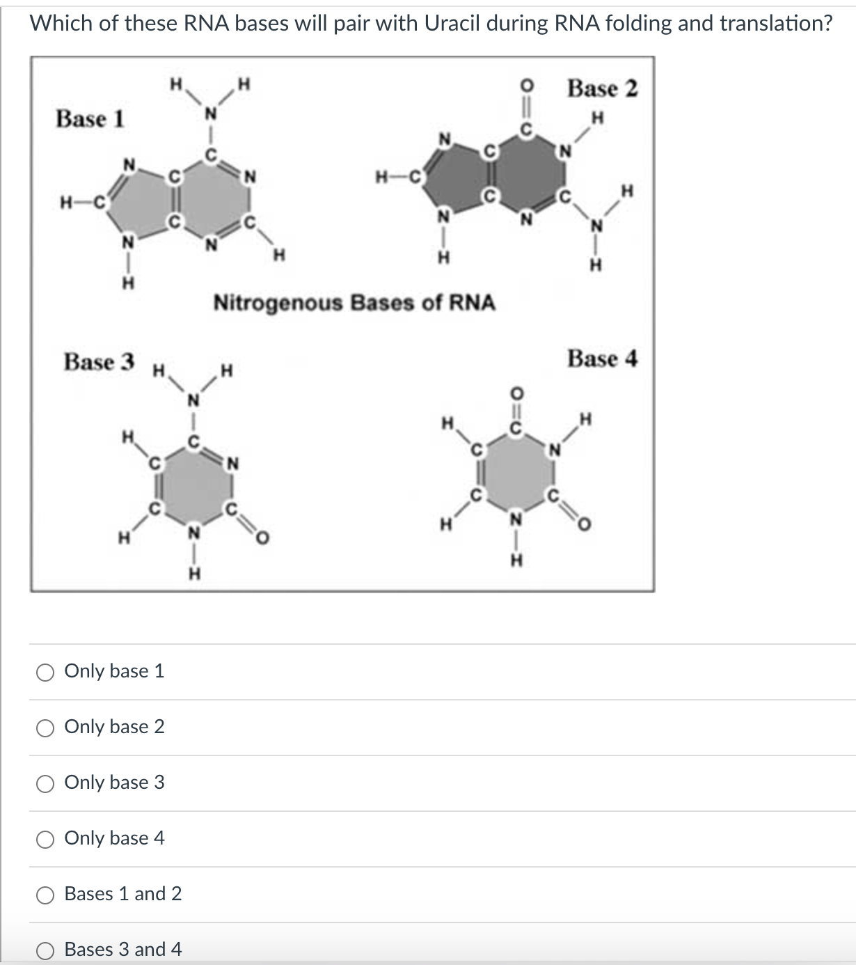 Solved Which of these RNA bases will pair with Uracil during | Chegg.com