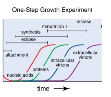 Solved Please explain what is happening in this One-Step | Chegg.com
