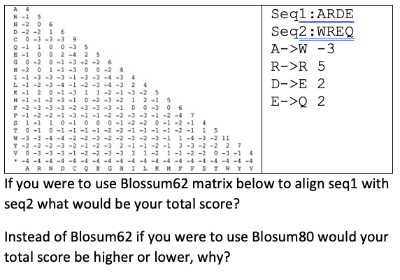 If you were to use Blossum62 matrix below to align | Chegg.com