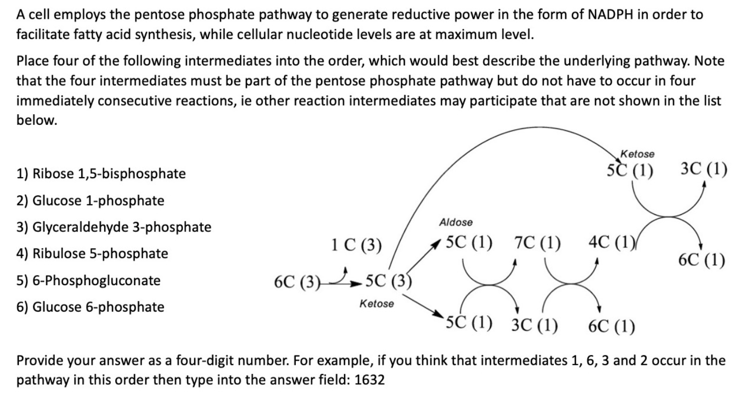 Solved A cell employs the pentose phosphate pathway to | Chegg.com