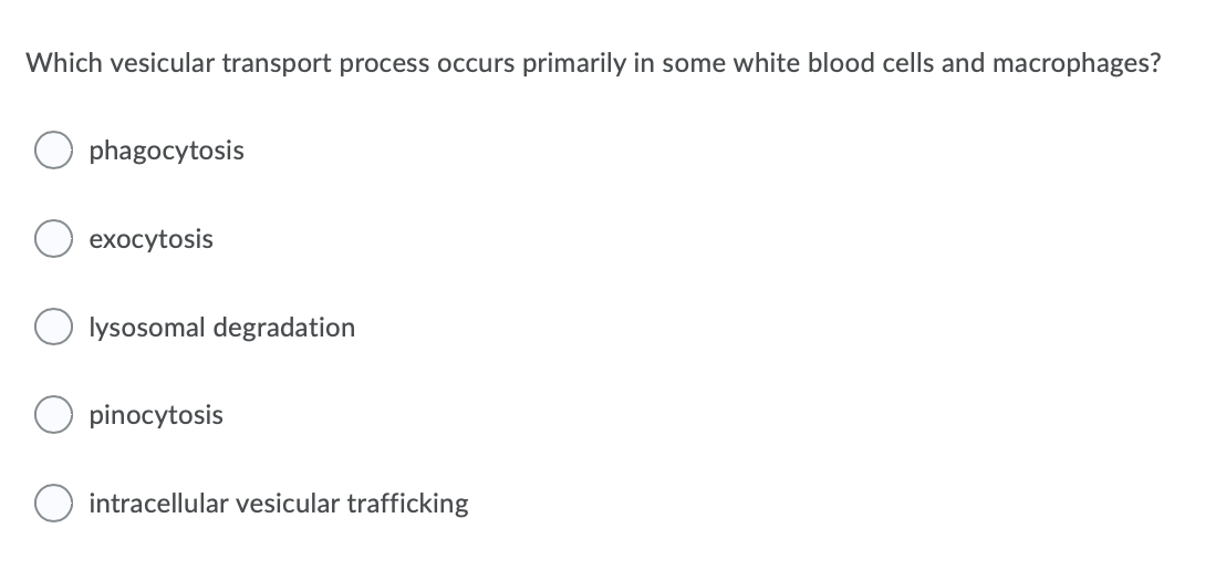 Solved Which vesicular transport process occurs primarily in | Chegg.com