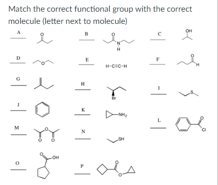 Solved Match the correct functional group with the correct | Chegg.com