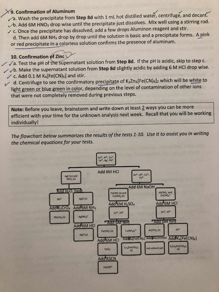 Solved Day Two: Write net ionic equations for the reactions | Chegg.com