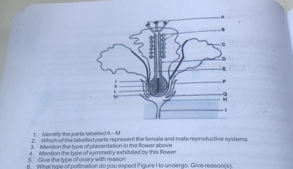 Solved Identify the parts labelled A-MWhich of the labelled | Chegg.com