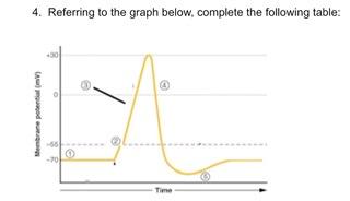 Solved Membrane Potential Graph I have already named the | Chegg.com