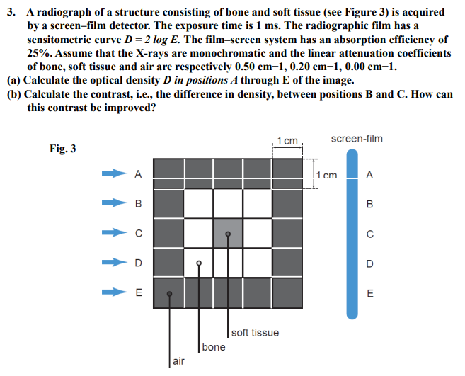 Solved 3. A radiograph of a structure consisting of bone and | Chegg.com