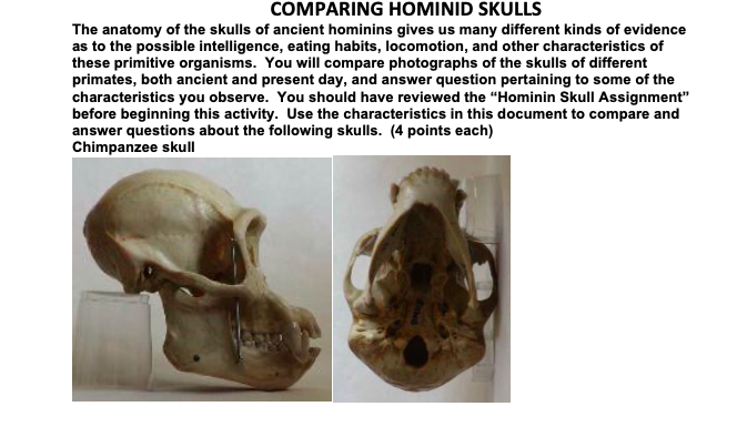 Solved COMPARING HOMINID SKULLS The anatomy of the skulls of | Chegg.com