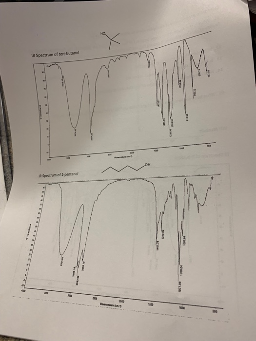 Solved R Spectum of 4-methyl-2-pentanone IR Spectrum of | Chegg.com
