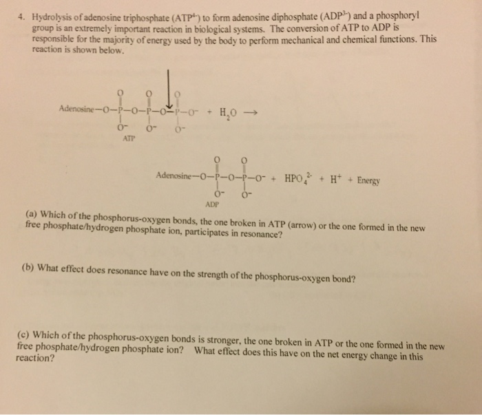 Solved 4. Hydrolysis of adenosine triphosphate (ATPt) to | Chegg.com