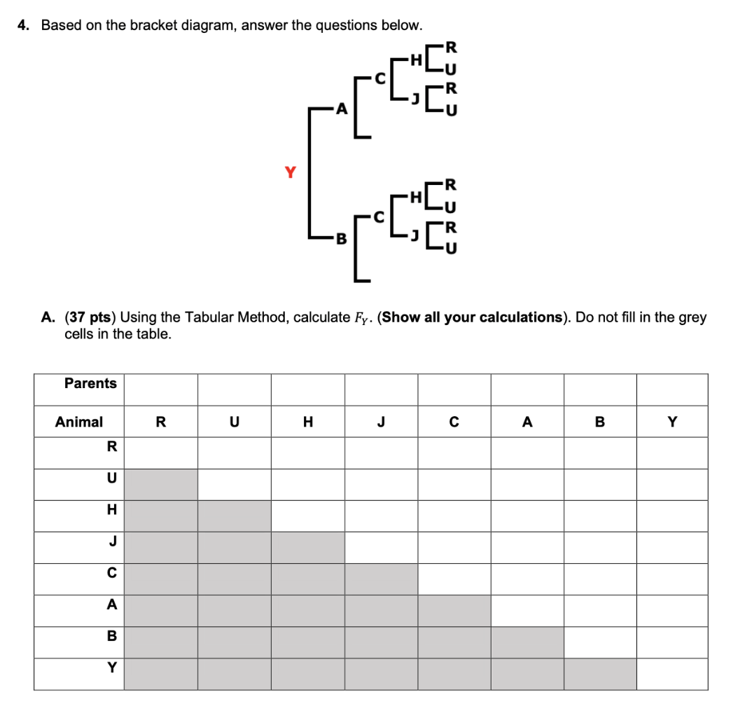 4. Based on the bracket diagram, answer the questions | Chegg.com