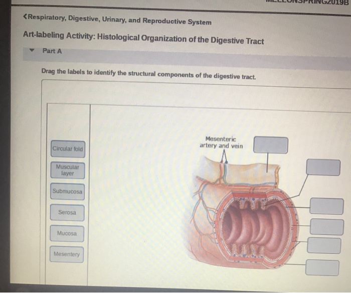 Solved 2019B | Chegg.com